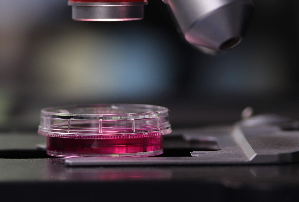 The Science Behind Theya Healthcare Underwear | Science Meets Empathy